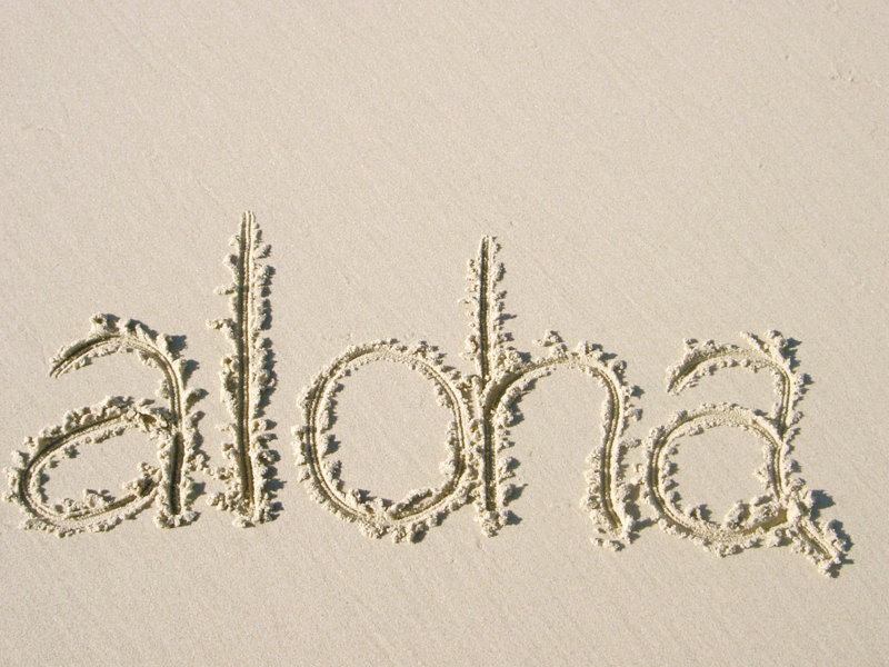 Aloha Rainbows Launches! - Aloha Rainbows